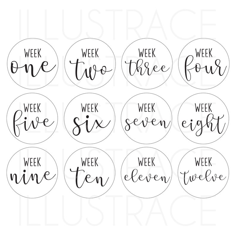 Pregnancy Milestone Discs 1-40 Weeks SVG: Photo Prop (digital Download ...