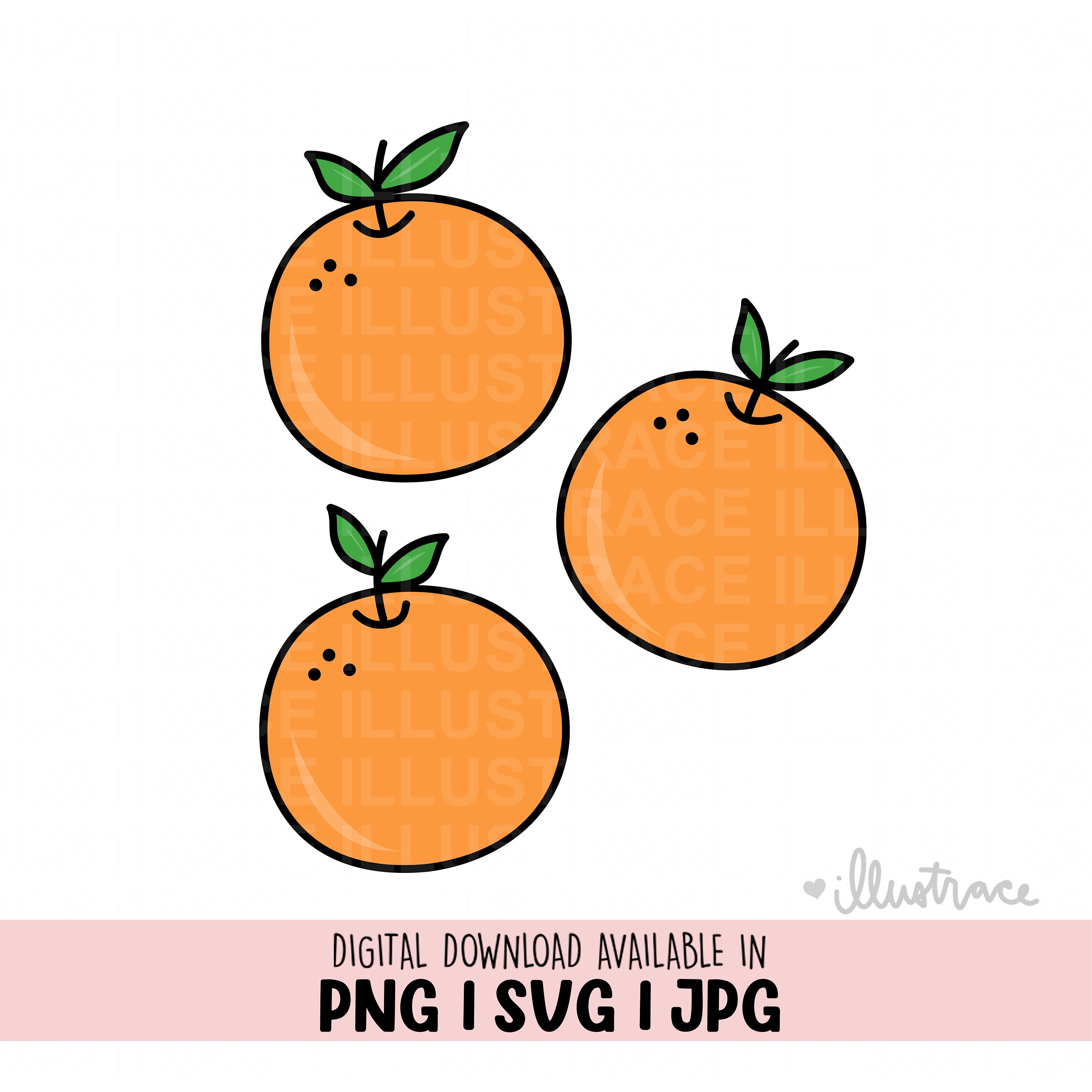 Orange Svg Oranges Svg, Fruit Svg, Fruit Png, Cut File, Vector, Cricut ...