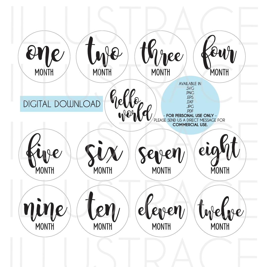 SVG File: 1-12 Months Baby Monthly Milestones Shapes, Decor, Vector ...