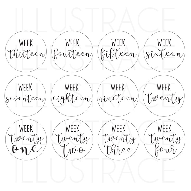 Pregnancy Milestone Discs 1-40 Weeks SVG: Photo Prop (digital Download ...
