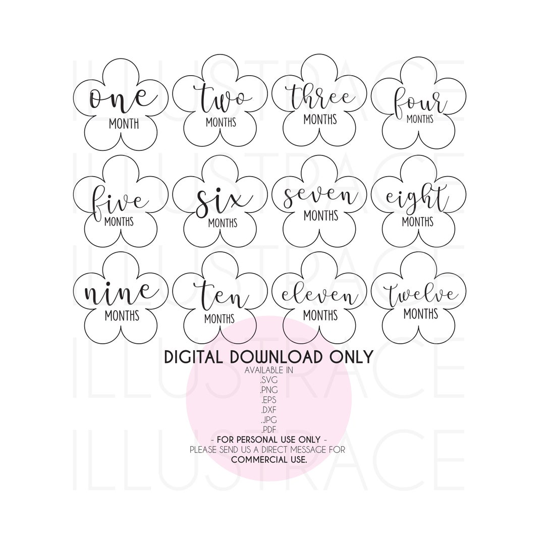 SVG File: 1-12 Baby Monthly Milestones - Flower Discs, Shapes, Decor ...