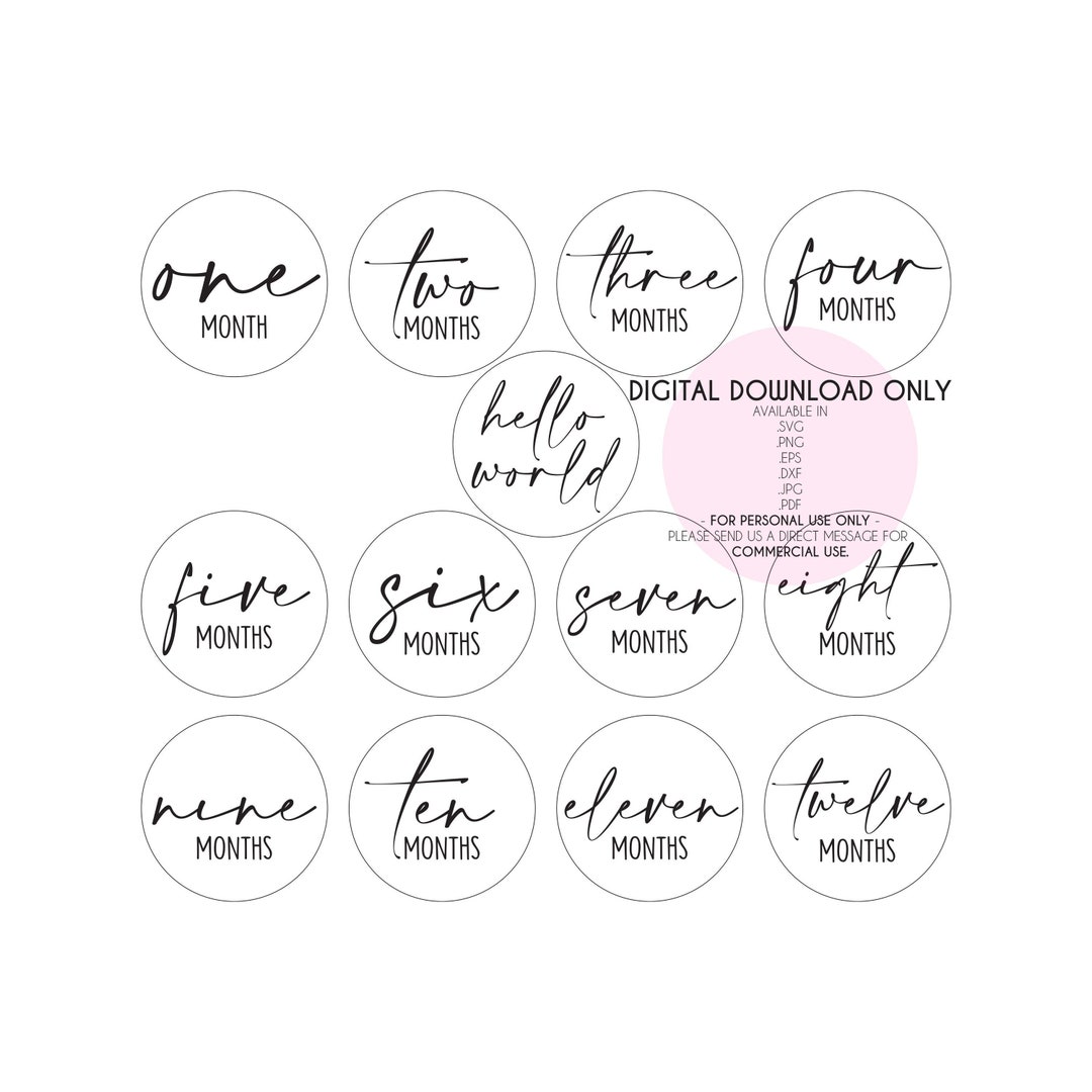SVG File: 1-12 Months Baby Monthly Milestones Shapes, Decor, Vector ...