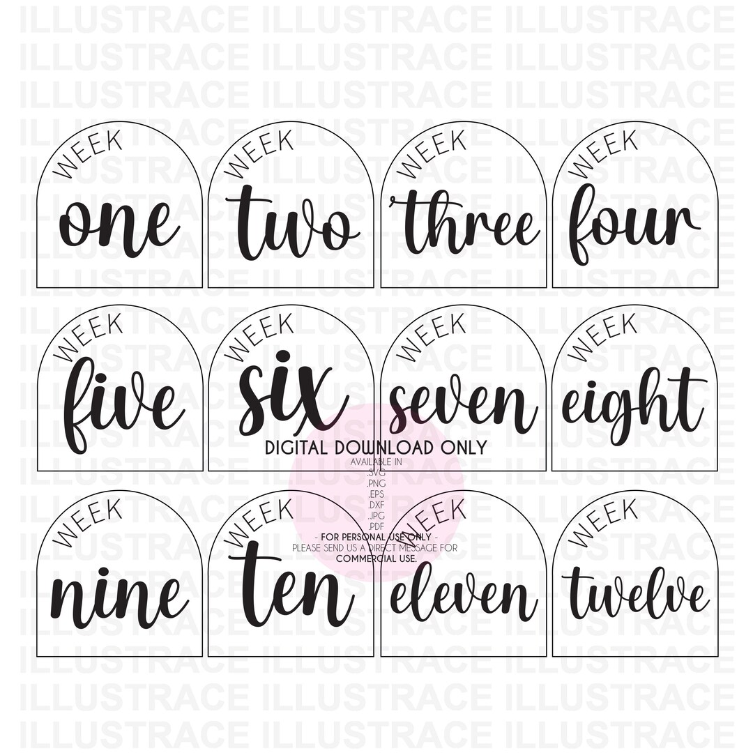 SVG 1-40 Weeks Pregnancy Arch Disc, Monthly Milestones, Photo Prop ...