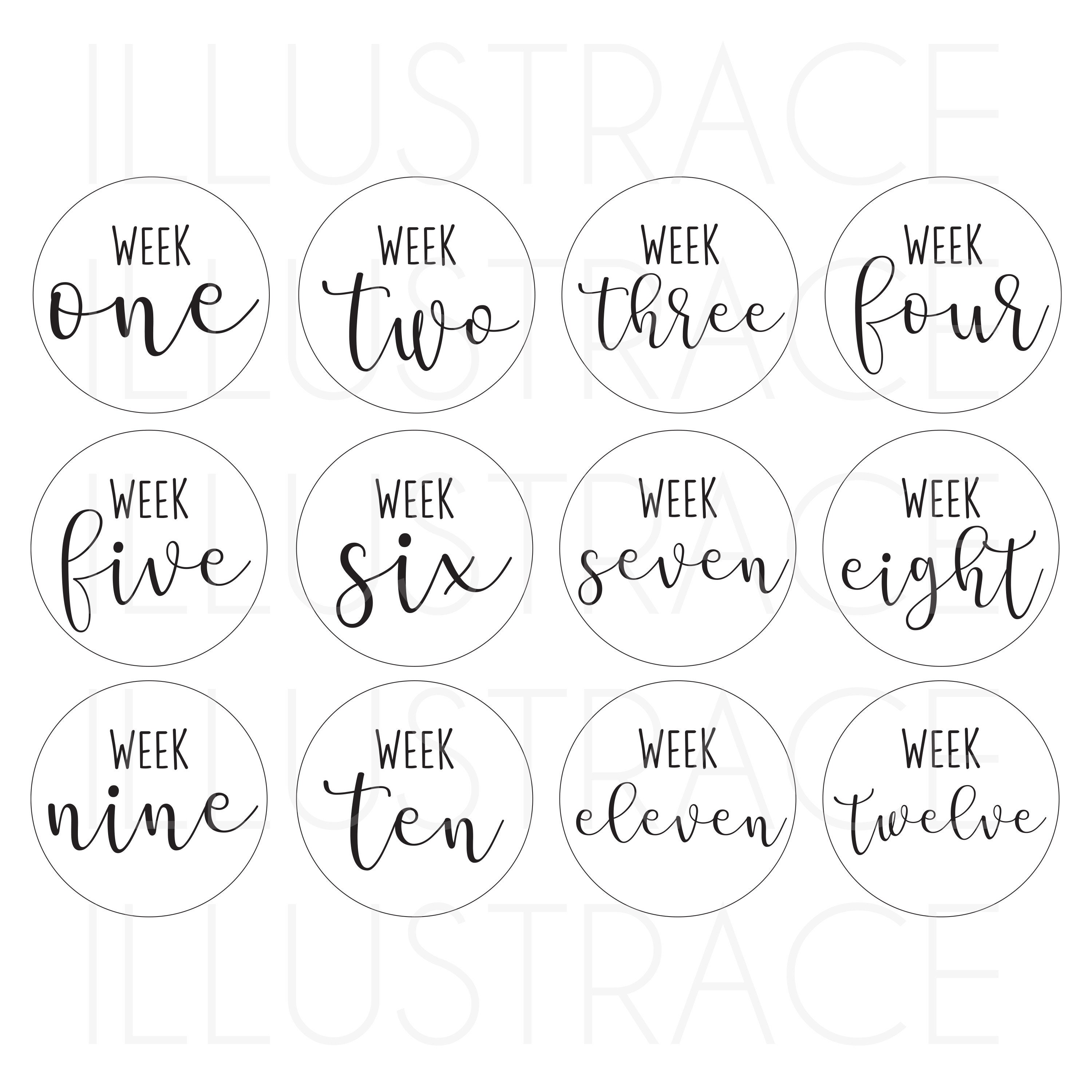 40 Pregnancy Weeks Disc Svg, Monthly Milestones, Baby Monthly Milestone ...