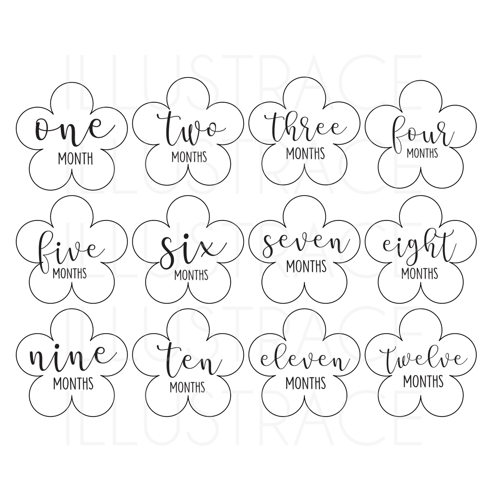 SVG File: 1-12 Baby Monthly Milestones - Flower Discs, Shapes, Decor ...
