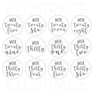Pregnancy Milestone Discs 1-40 Weeks SVG: Photo Prop (digital Download ...