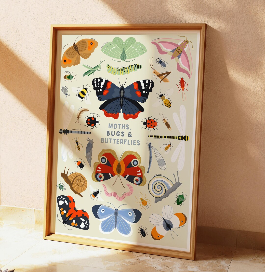 Botanical Art Print Moths, Bugs Butterflies - Nature Decor - British ...