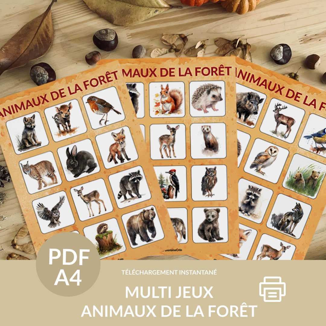 Multi Games Forest Animals, Lotto, Pairing, Memory, Nursery and Primary ...