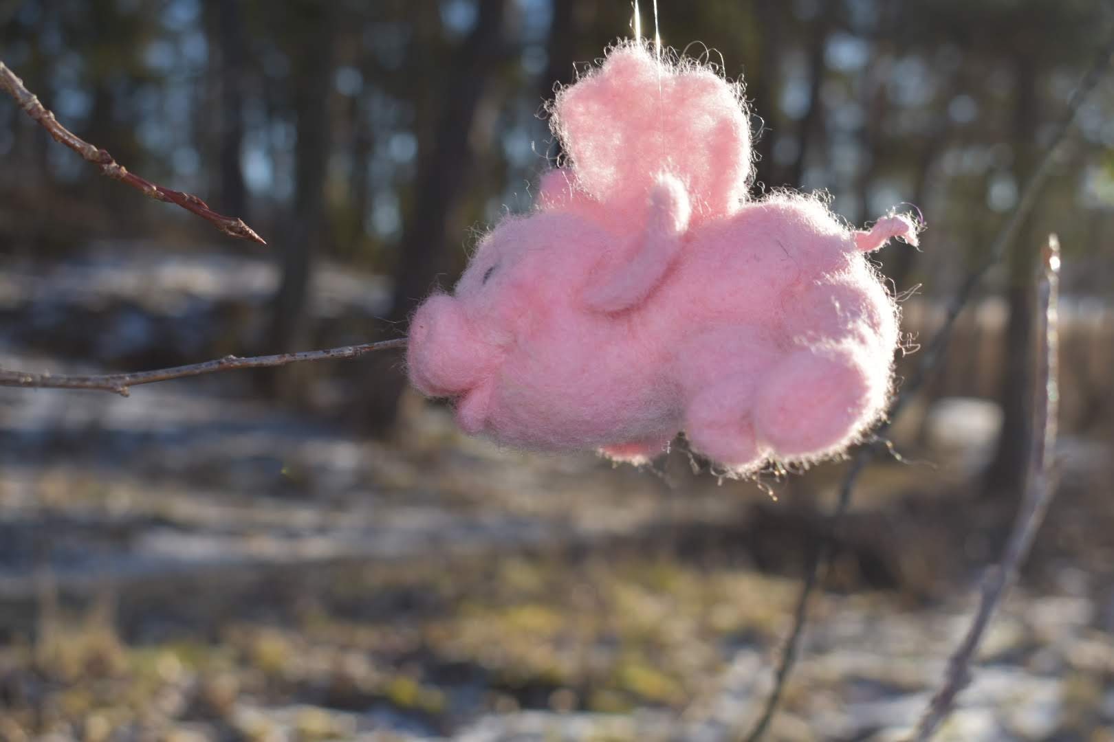 Wool Pig Windows Decor 2019's Symbol Felt Needles Wool Animals Decor ...