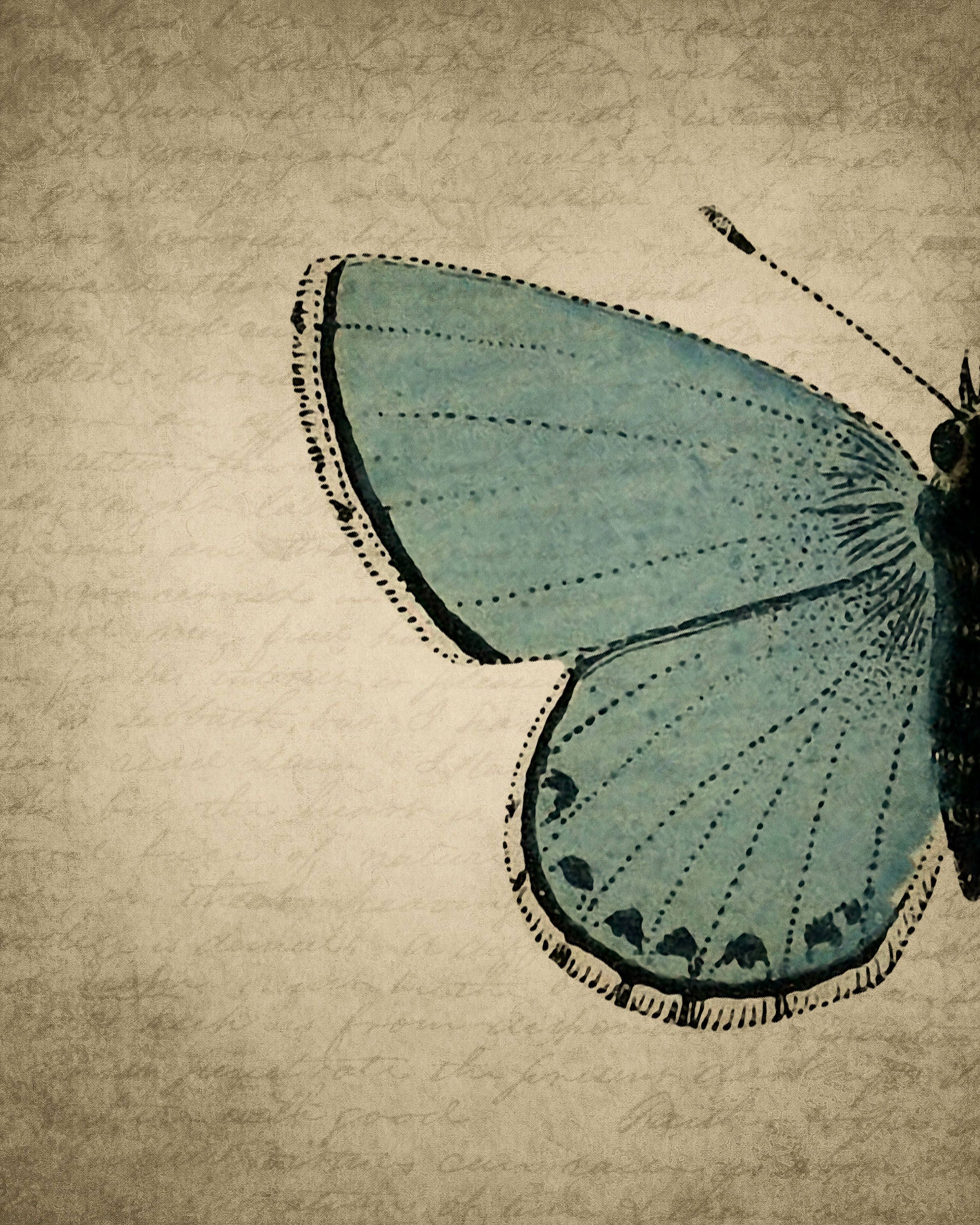 Vintage Butterfly print blue butterfly art wings art | Etsy