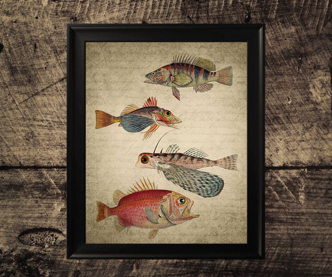 Vintage Fish Print, Vintage Fish Wall Art, Printable Fishes, Wall ...