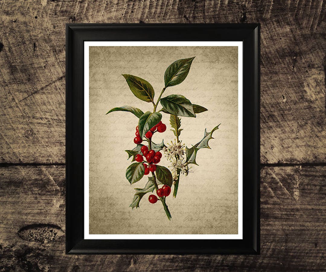 Vintage Wild Holly Wall Art, Home Decor, Wild Holly Print, Vintage Wall ...