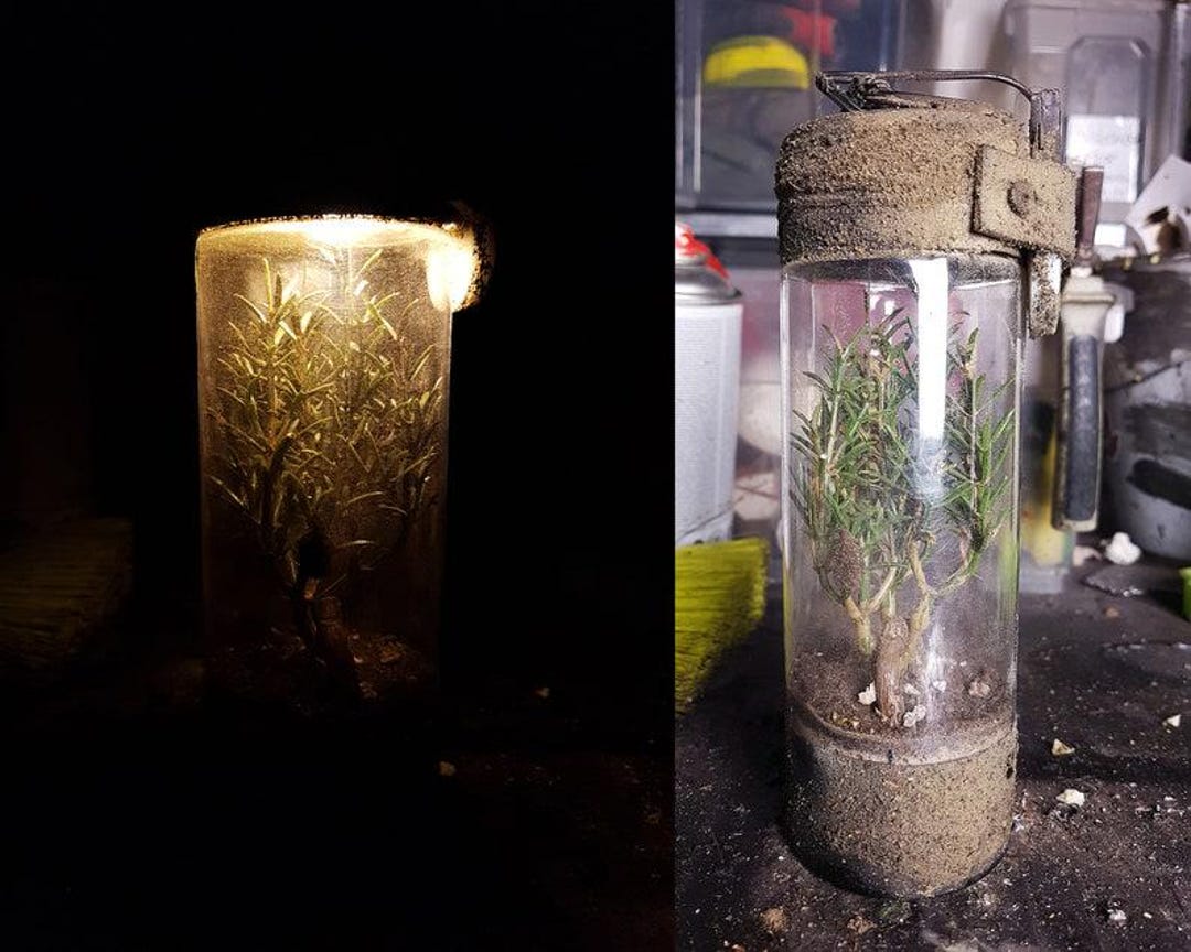 Post Apocalyptic Plants in Prop "sample Collector" With Lights / Plant ...