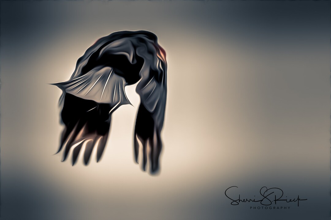 Abstract Blackbird in Flight - Etsy UK