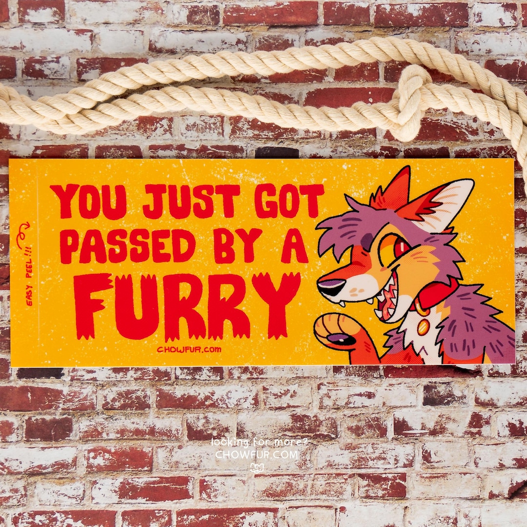 You Just Got Passed by A Furry Bumper Sticker - Etsy
