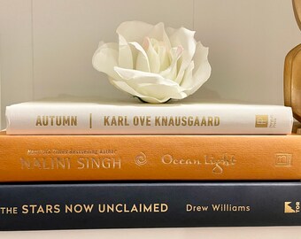 Pink and Gold Decorative Book Stack | Etsy