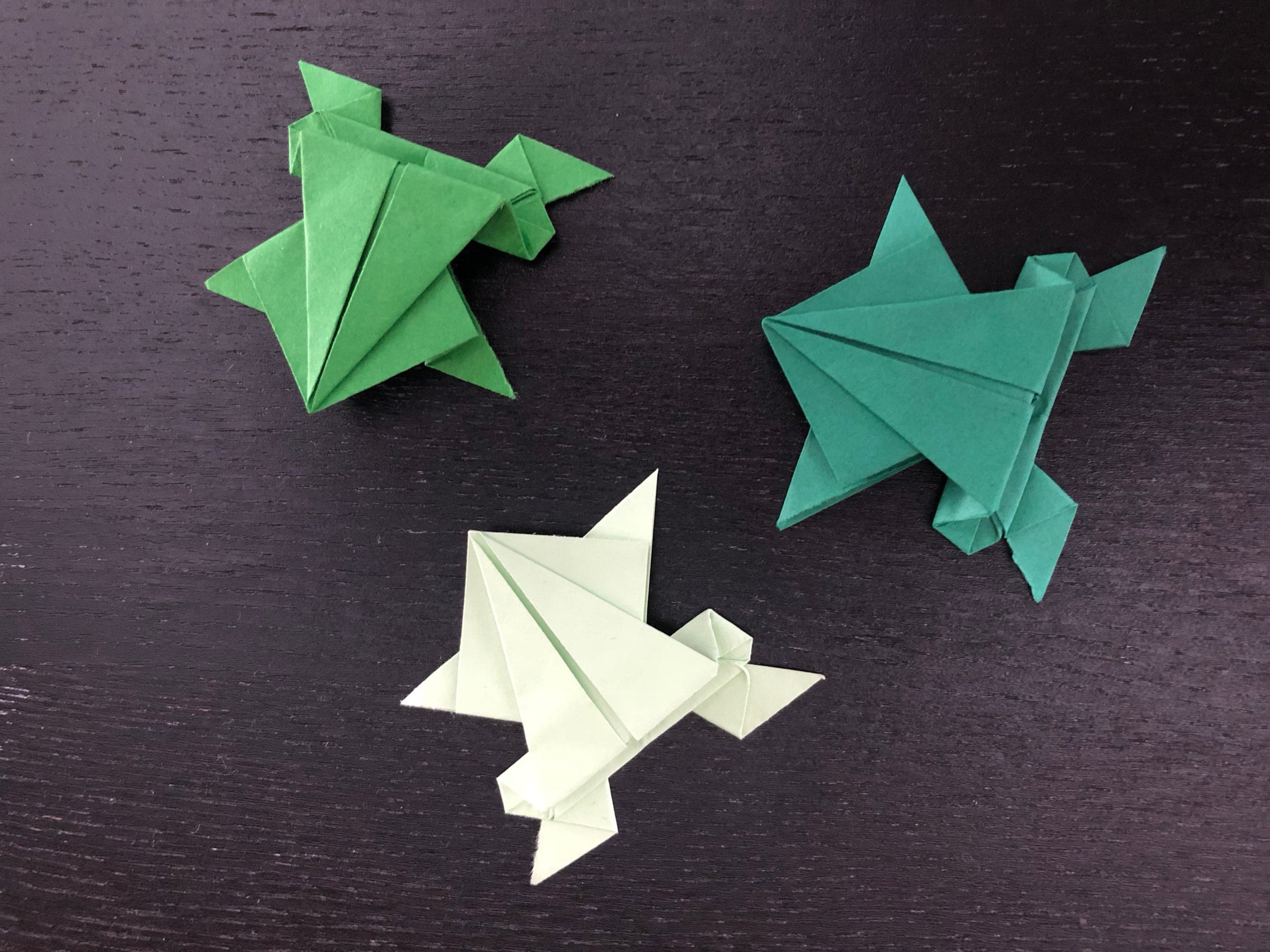 6 Paper Origami Jumping Frogs Solid Color - Etsy