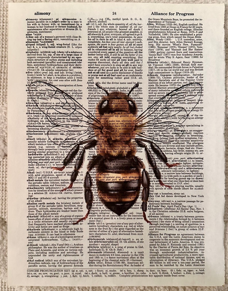 Upcycled Vintage Dictionary Art Bee - Etsy