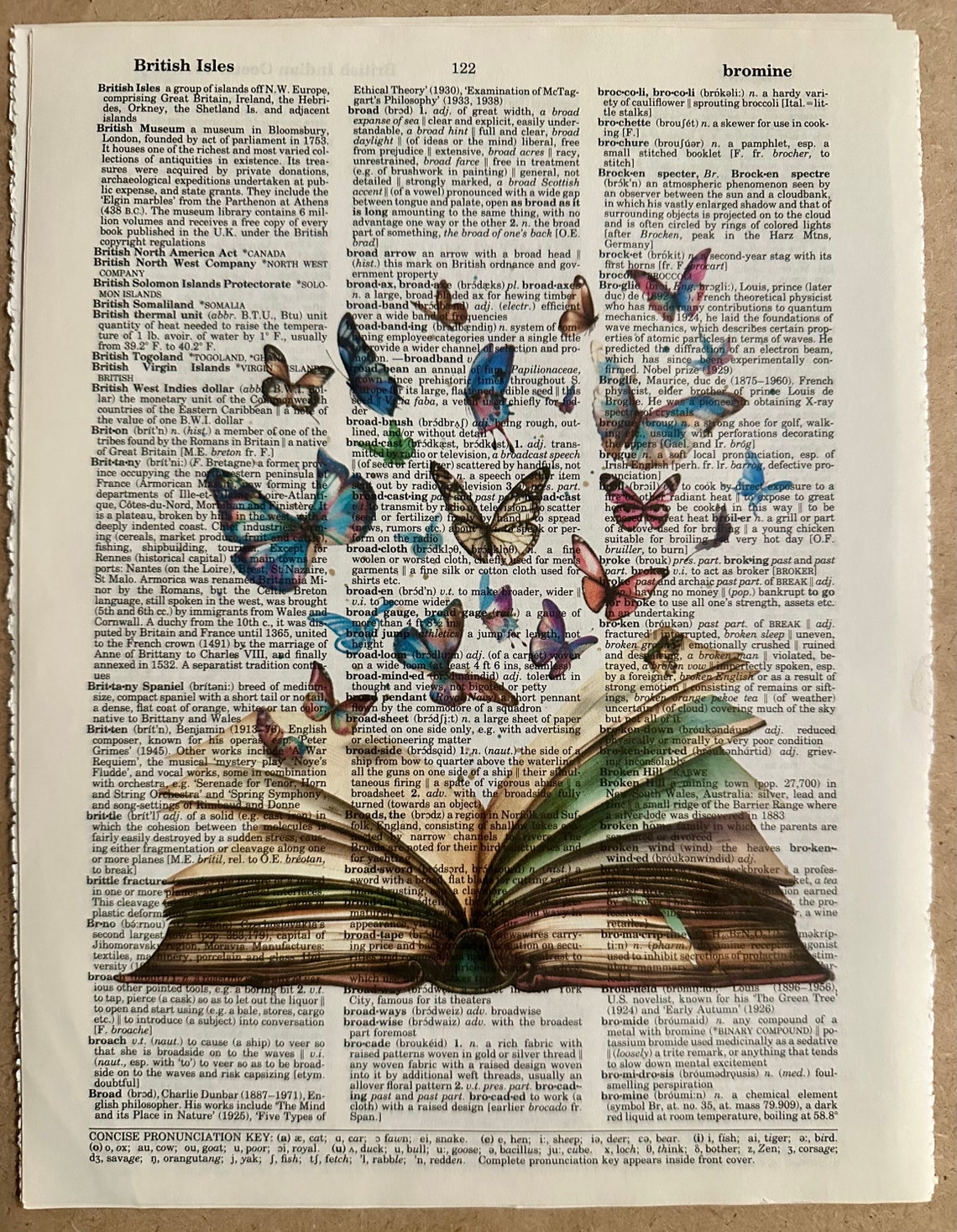 Upcycled Vintage Dictionary Open Book With Butterflies Art - Etsy