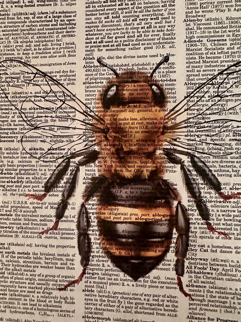 Upcycled Vintage Dictionary Art Bee - Etsy