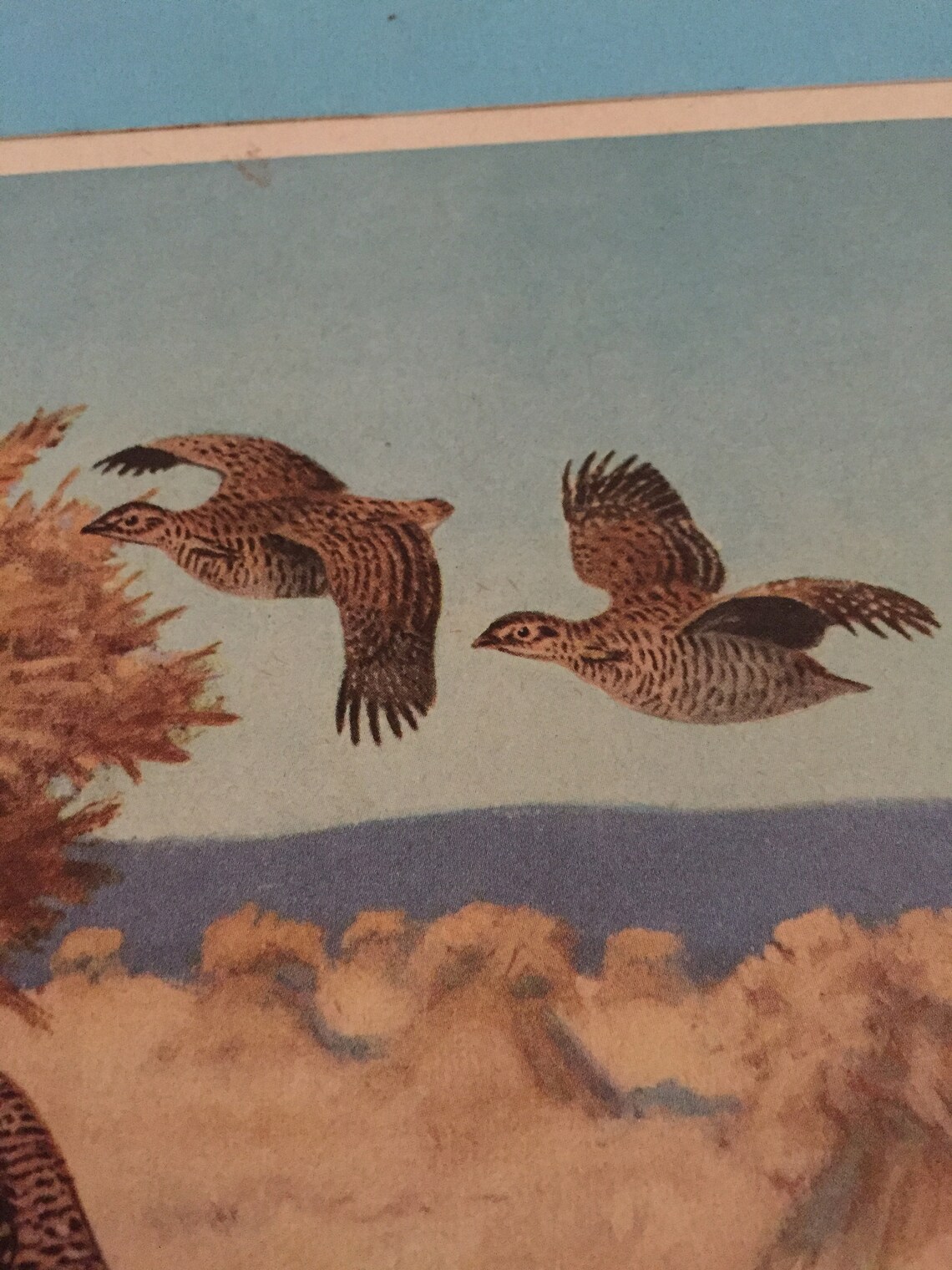 1944 Field and Stream Print | Etsy