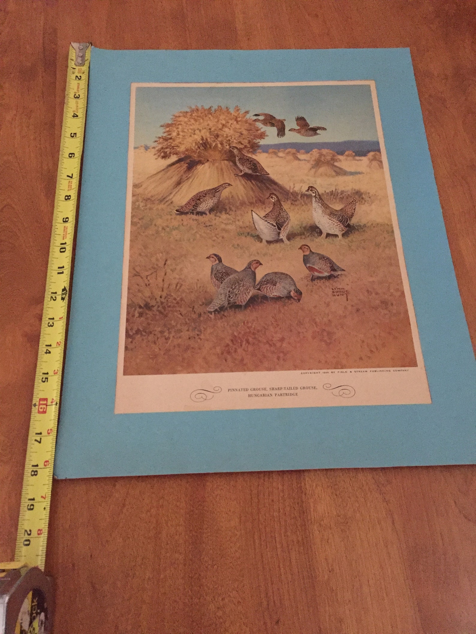 1944 Field and Stream Print | Etsy