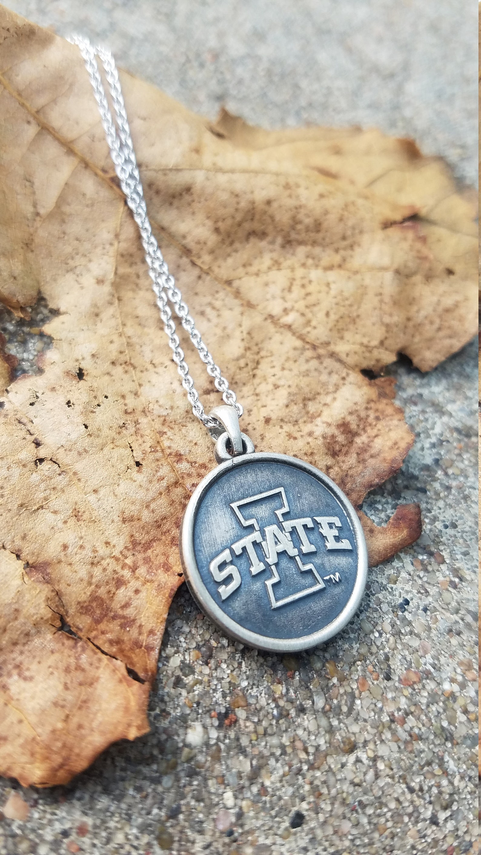 Iowa State University Cyclones Sterling Silver Antiqued Coin - Etsy