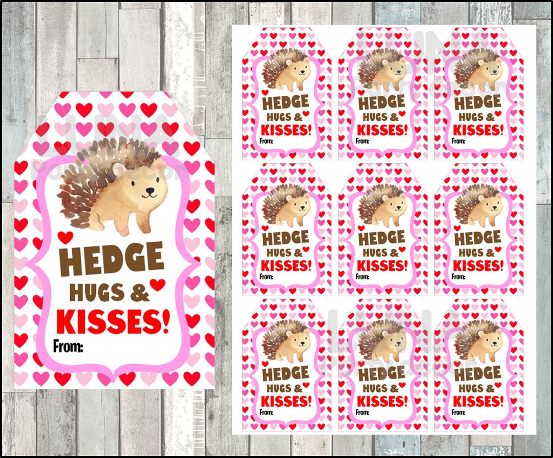 Hedgehog Valentine Cards, Kids Valentine's Cards, Hedgehog Valentines ...