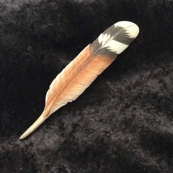 Kestrel Feathers - Etsy