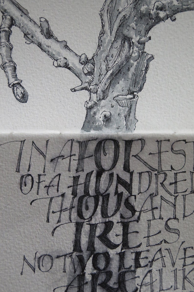 Branches, a Limited Edition Book of Drawings and Texts, All Done in Pen ...