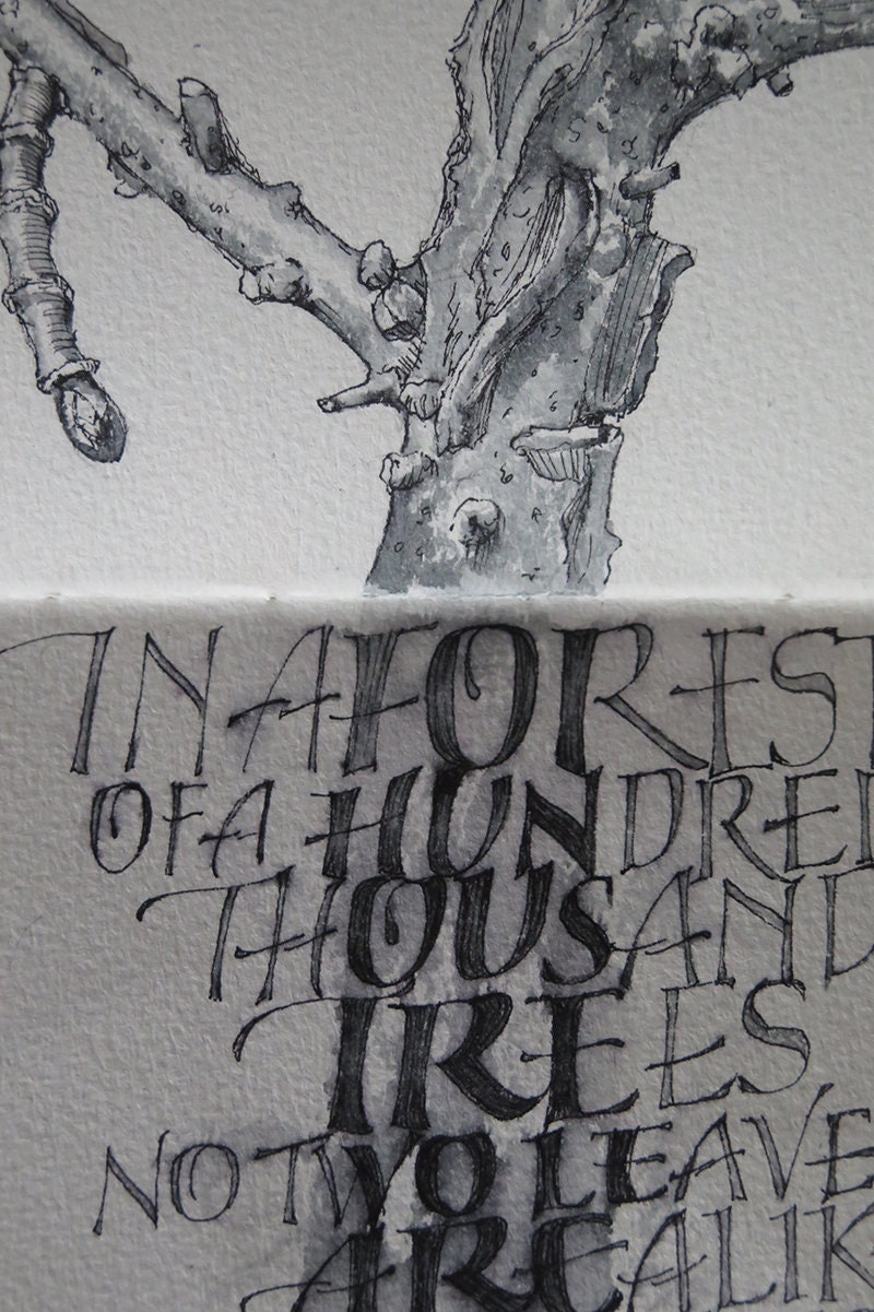 Branches, a Limited Edition Book of Drawings and Texts, All Done in Pen ...