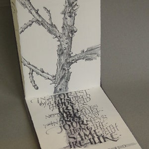 Branches, a Limited Edition Book of Drawings and Texts, All Done in Pen ...