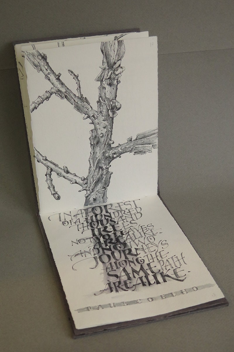 Branches, a Limited Edition Book of Drawings and Texts, All Done in Pen ...