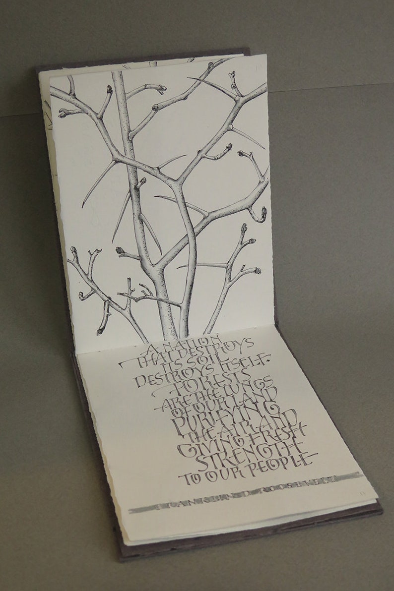 Branches, a Limited Edition Book of Drawings and Texts, All Done in Pen ...