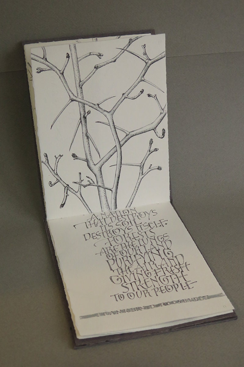 Branches, a Limited Edition Book of Drawings and Texts, All Done in Pen ...