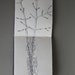 Branches, a Limited Edition Book of Drawings and Texts, All Done in Pen ...