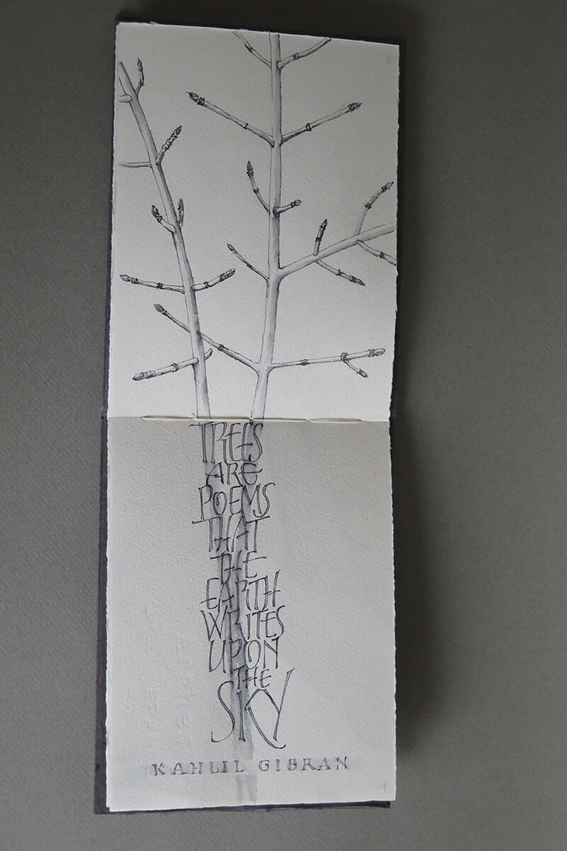 Branches, a Limited Edition Book of Drawings and Texts, All Done in Pen ...