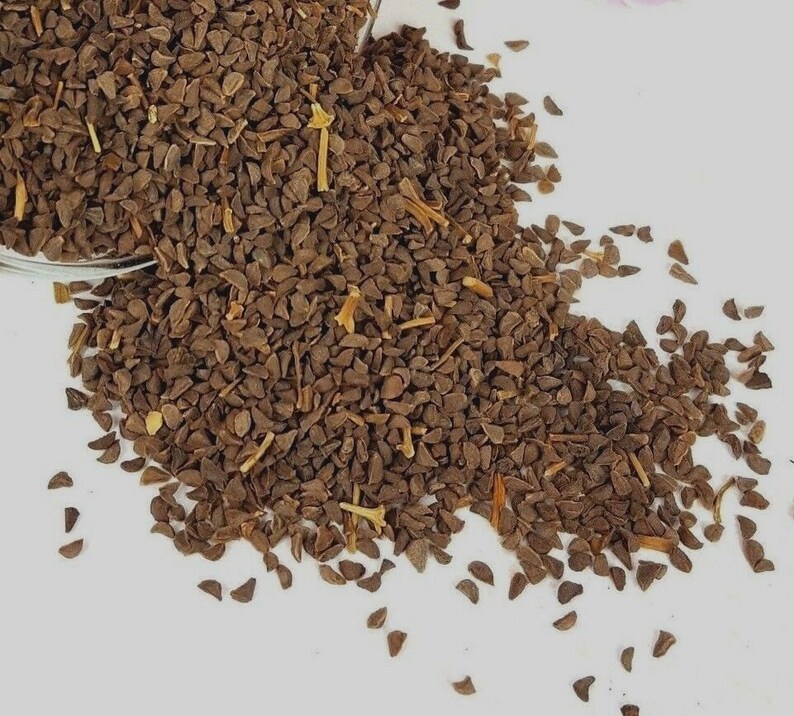 Harmala Seeds 450gram / 15.87oz Harmal Seed بذور الحرمل - Etsy Canada