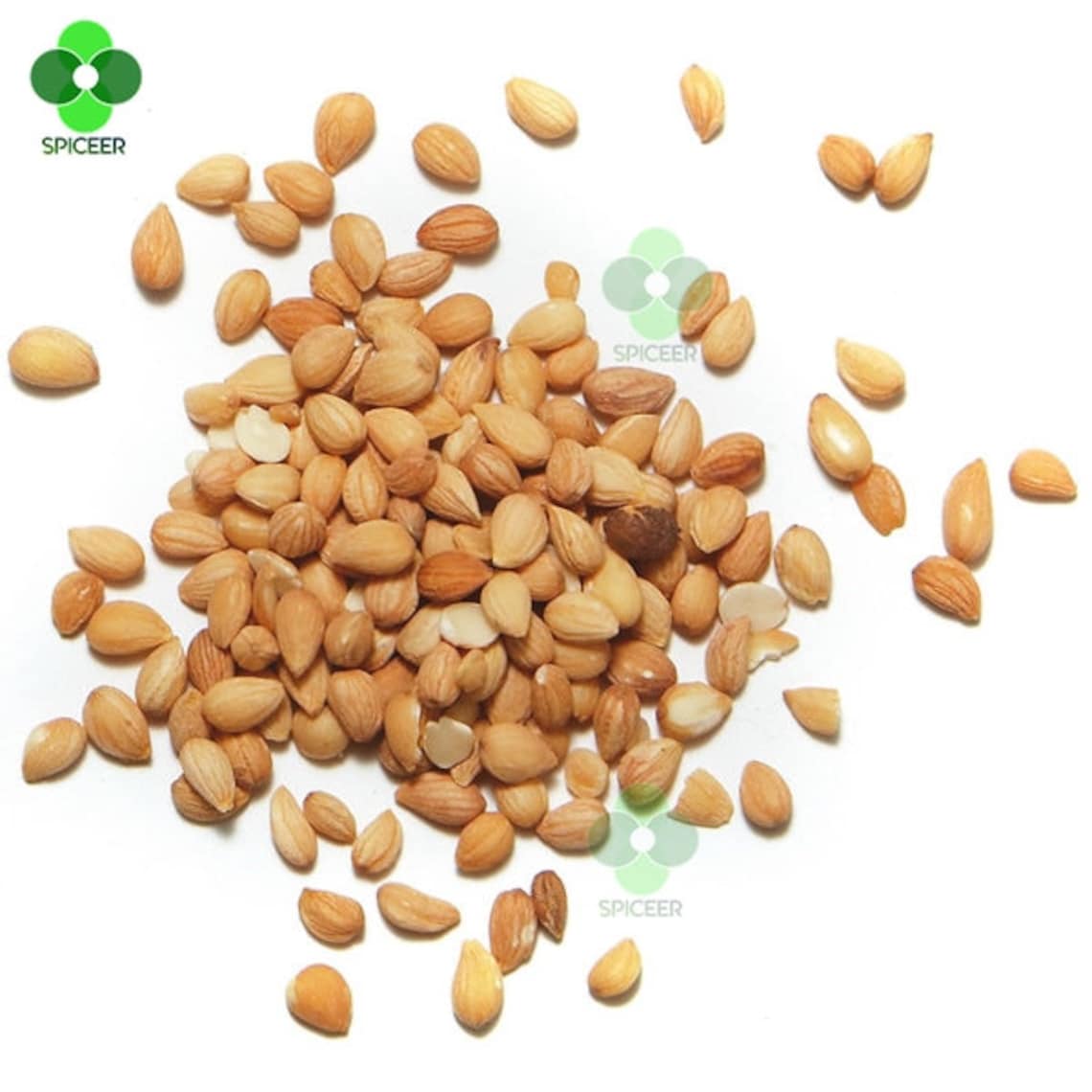 100 Gram Mahaleb Whole Prunus Cherry Mahleb Seeds Mahlepi Mahlab Mahlep ...