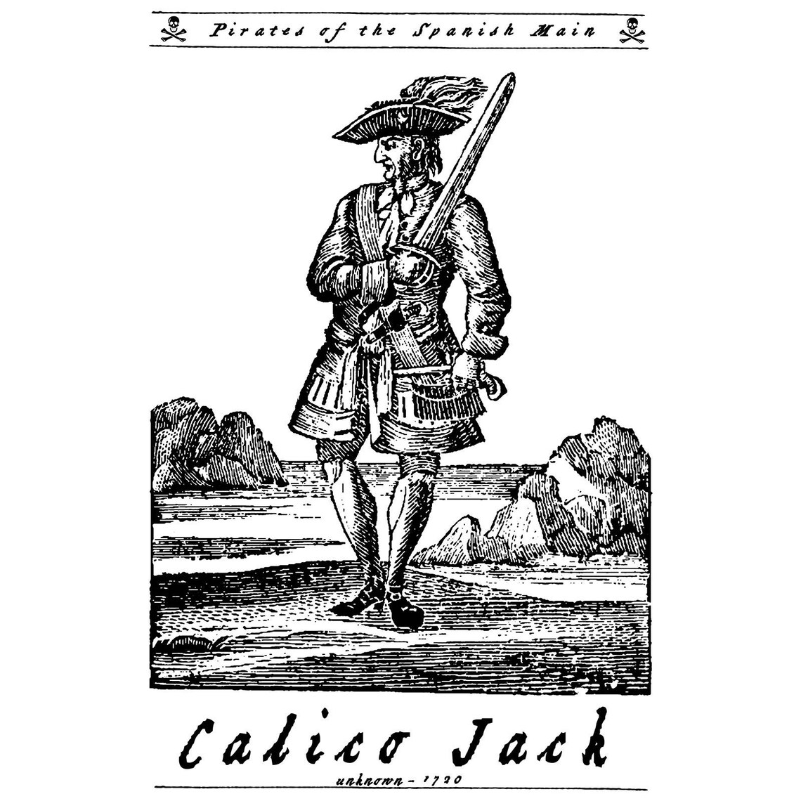 Calico Jack Pirate T-Shirt, Pirates of the Caribbean, Buccaneer T-Shirt ...