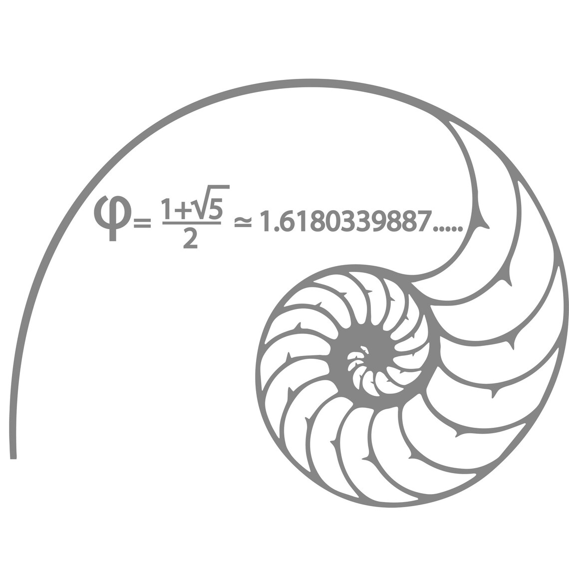 Fibonacci Spiral Golden Ratio 1.618... Science for Wall Math Decals ...