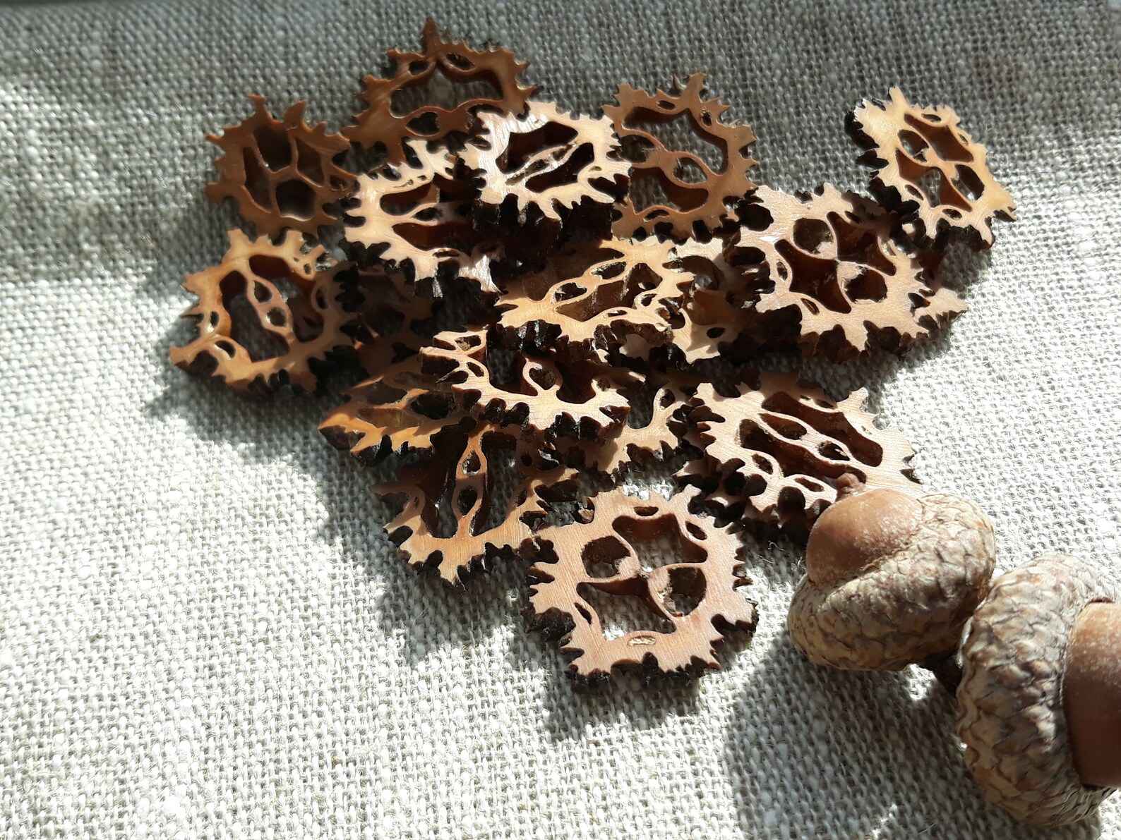 Black walnut slices 10 pieces set for craft and jewelry | Etsy