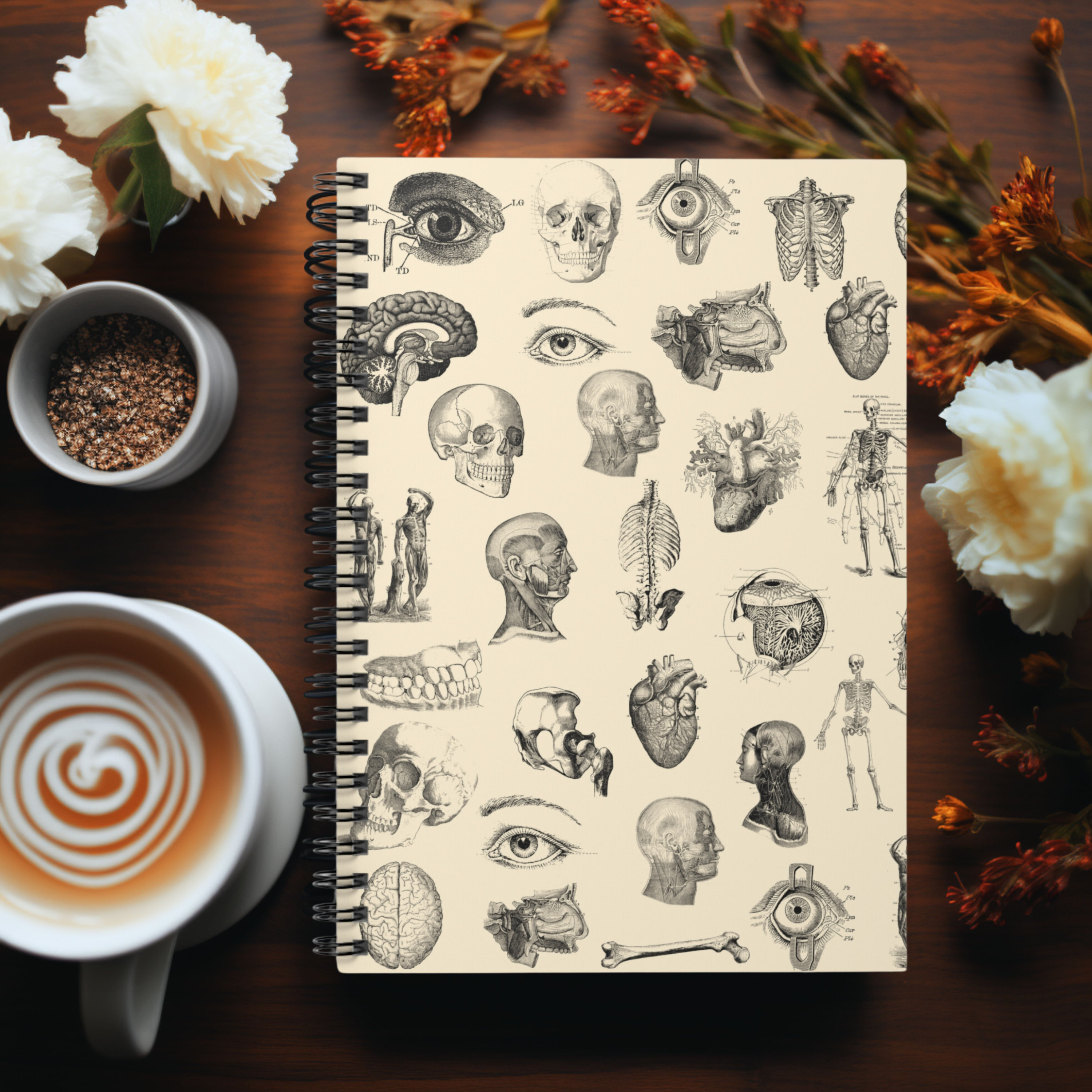 Human Anatomy Medical Drawings Spiral Notebook, Human Organs Journal ...