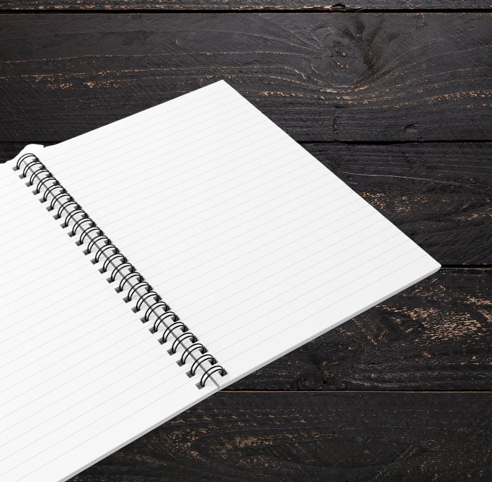 Gothic House Notebook, Creepy Cryptid Art Personal Journal, Dark ...