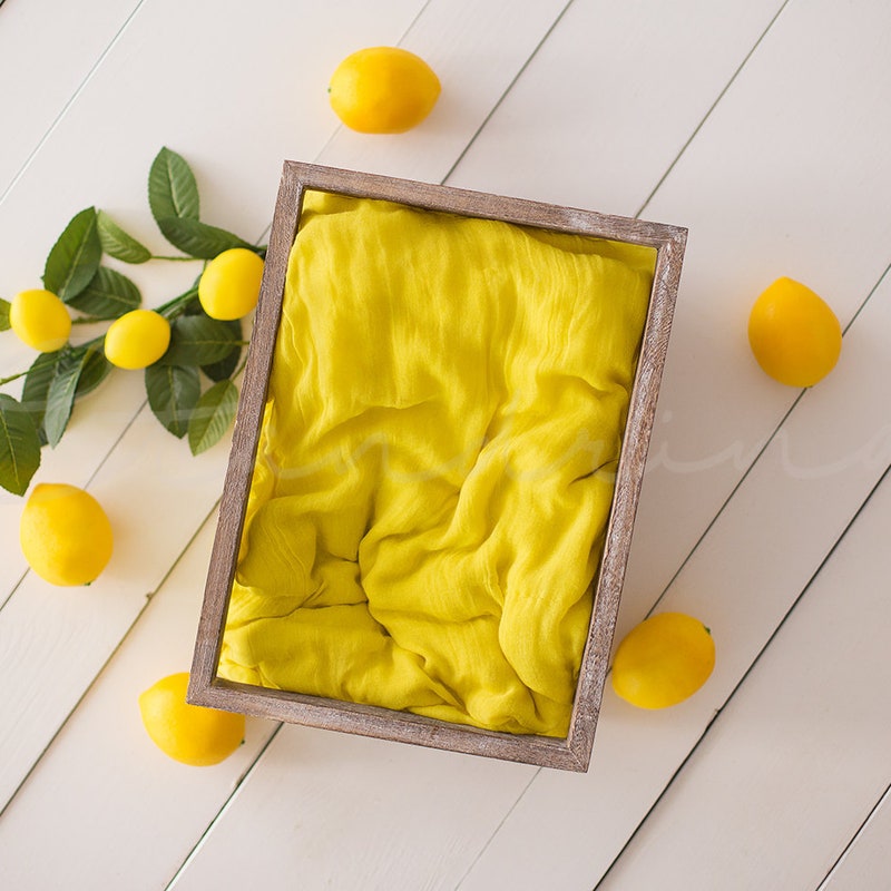 Lemon Backdrop - Etsy