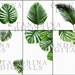 Tropical Leaf Overlays for Photoshop, Tropical Foliage Overlays, Green ...
