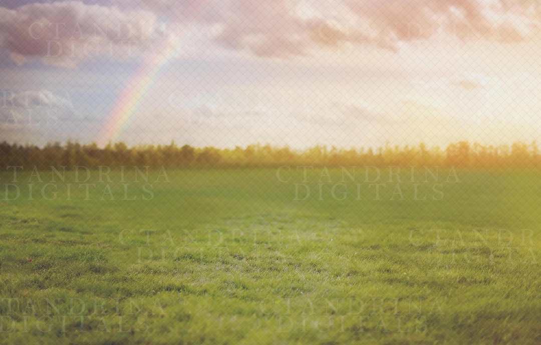 Rainbow Field Digital Backdrop, Dreamy Rainbow Field, Grassy Field With ...