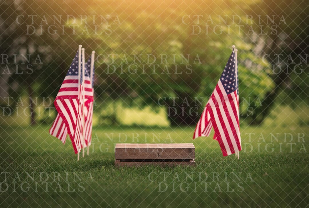 4th of July Digital Backdrop, Newborn and Child Patriotic Digital ...