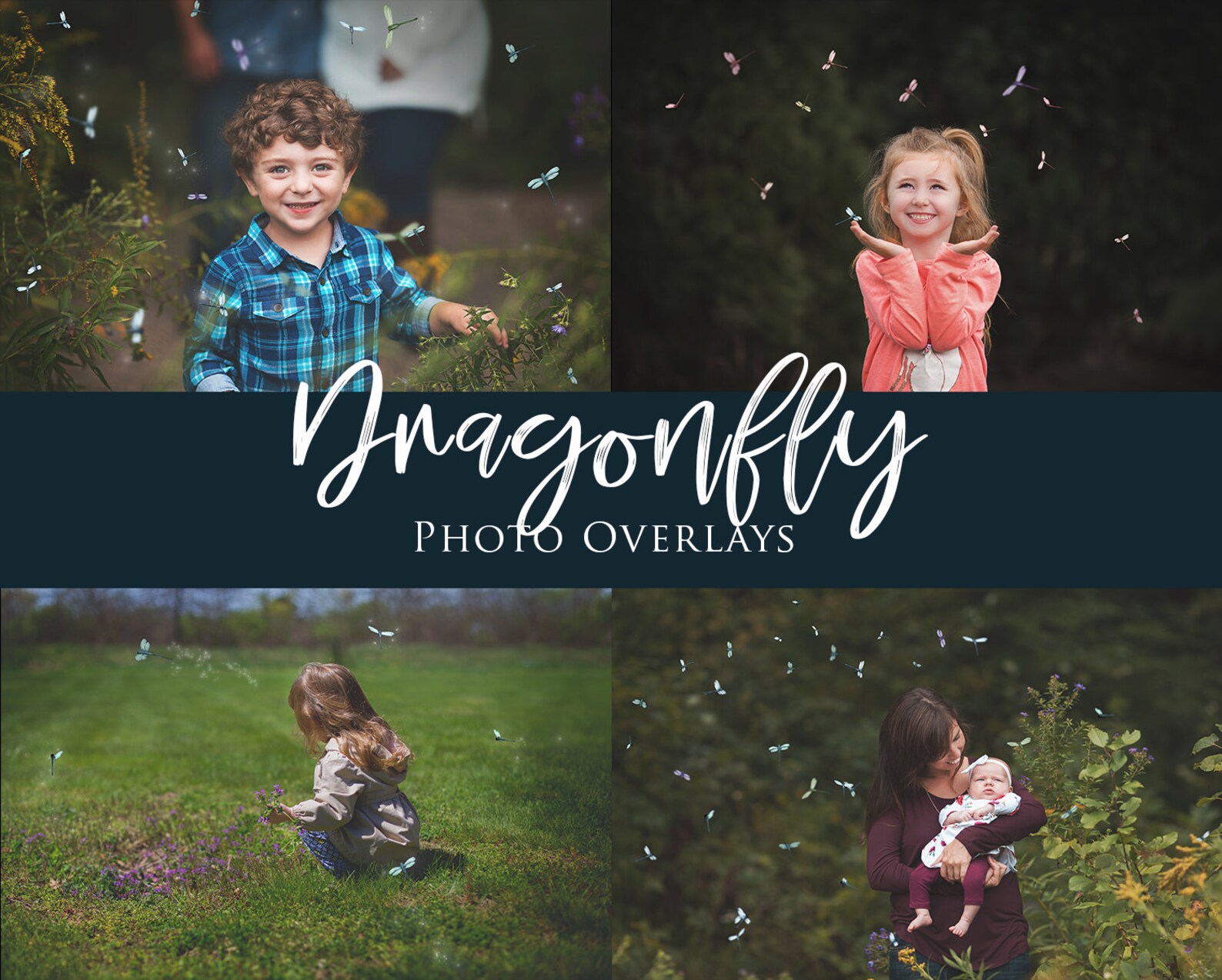 Dragonfly Overlays Insect Overlays Colorful Dragonflies | Etsy