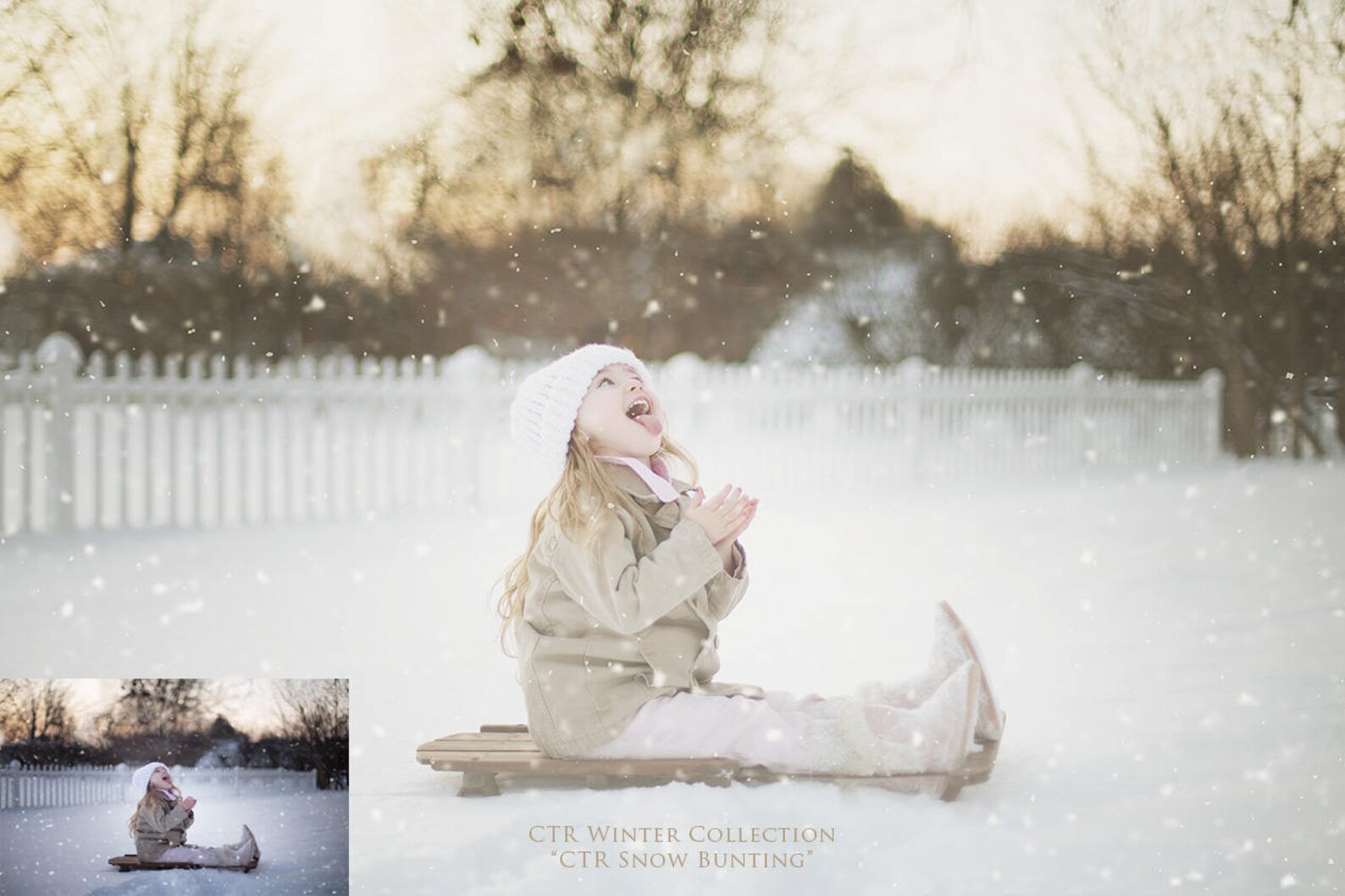 Winter Photoshop Actions CTR Frozen Collection Winter | Etsy